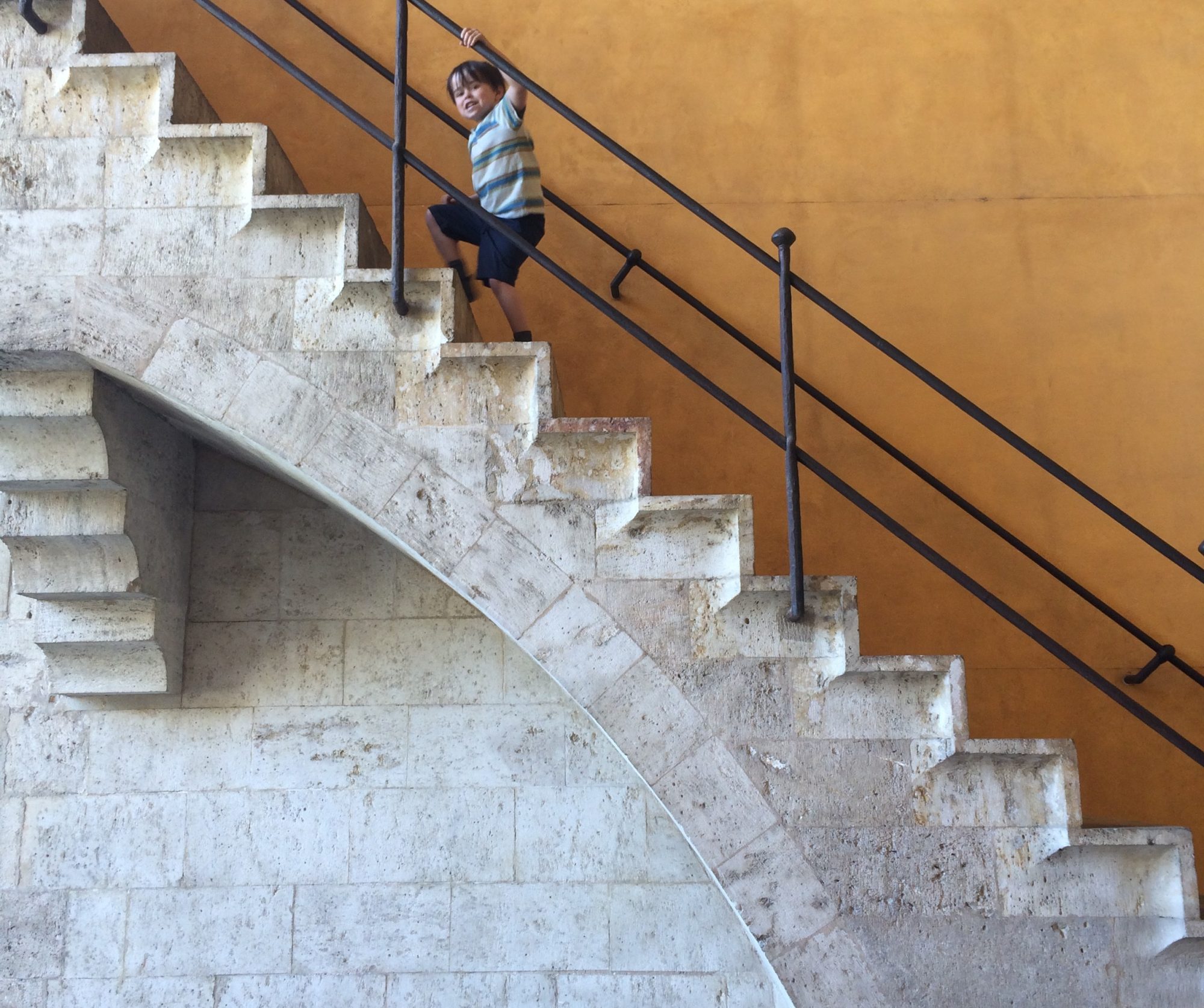 FORAGE DESIGN + PLANNING – Sustainable Design for People, Places + Things