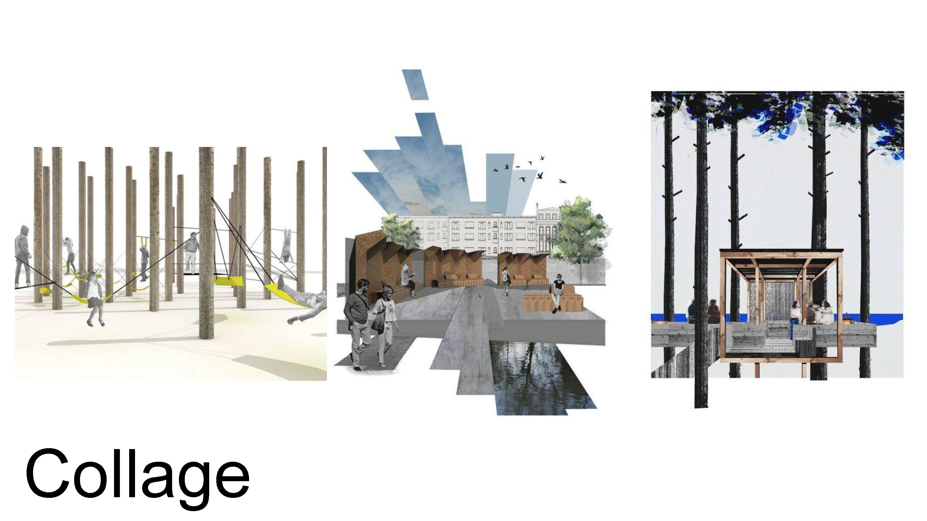 NW Academy – FORAGE DESIGN + PLANNING